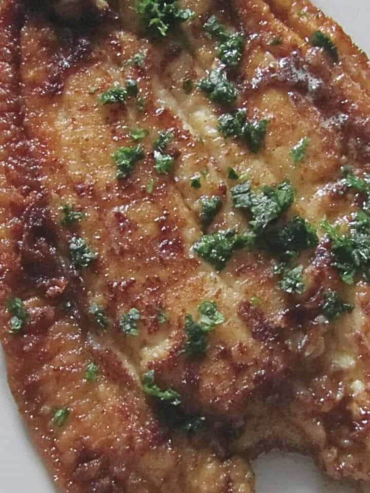 🍤 French Fish And Seafood Recipes - Love French Food
