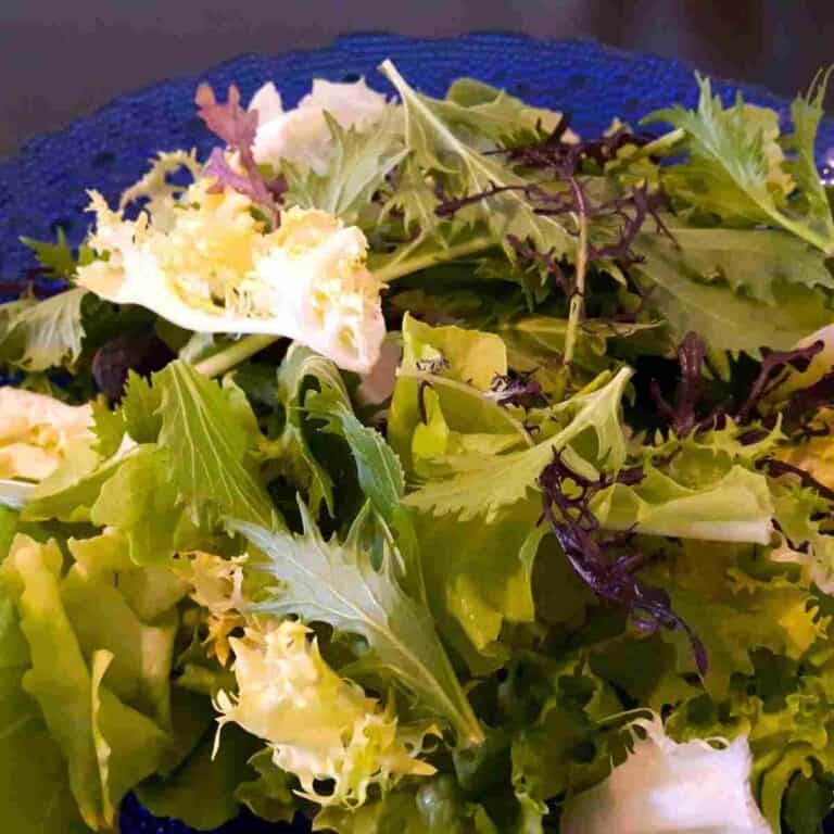 🥬Plain Simple & Tasty Mesclun Salad - Love French Food